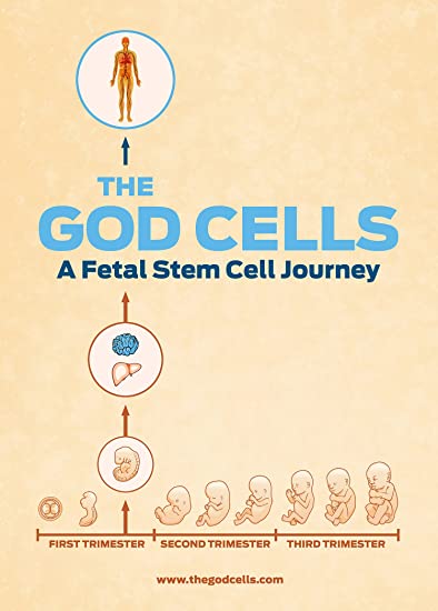 8 Must-watch stem cell documentaries - ProgenCell